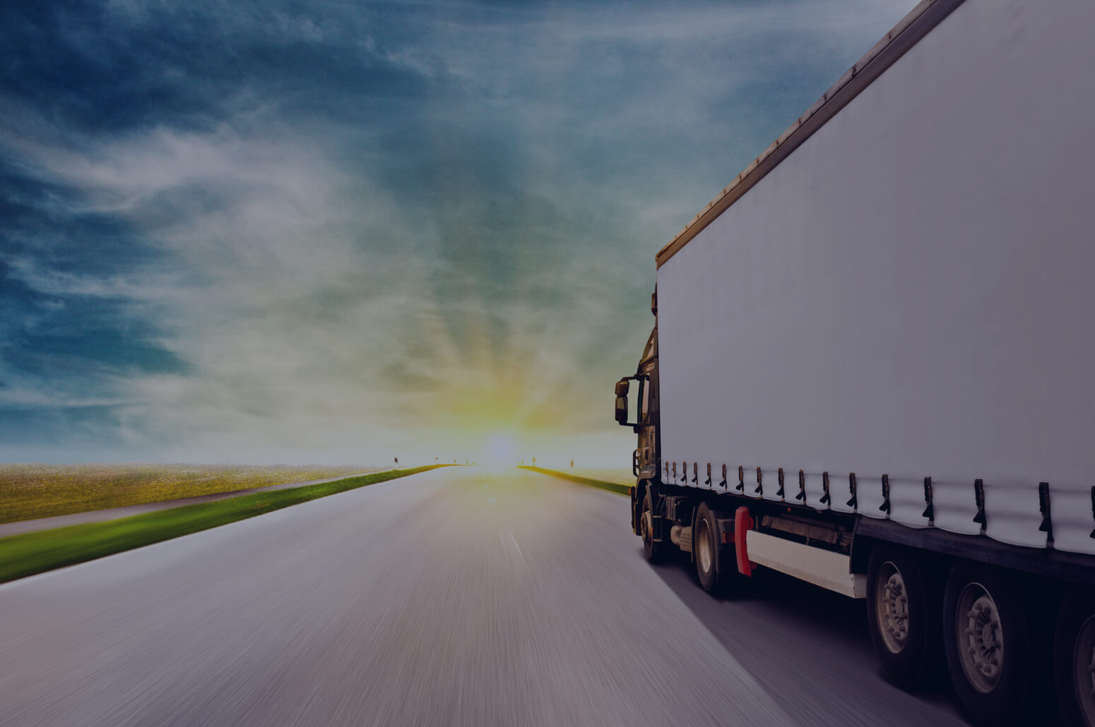 Speedlink Cargo – Freight's first choice